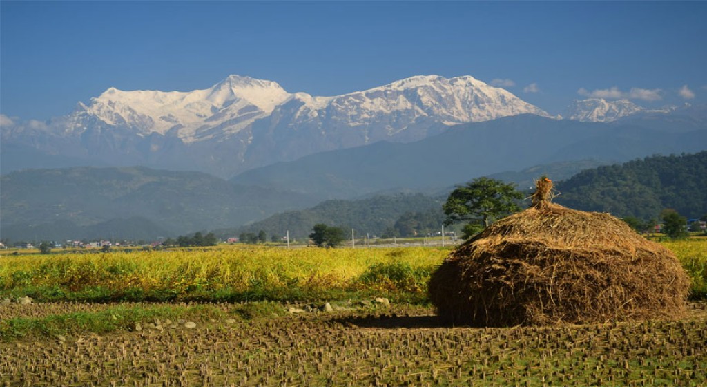 Helambu Trek Itinerary, price, maps & Cost 2025/26